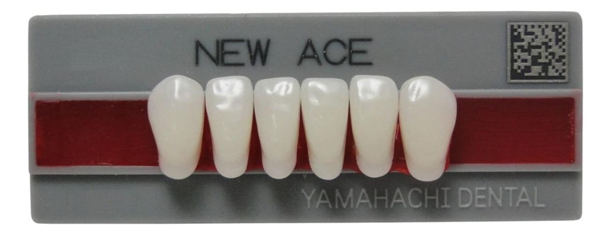 Dente New Ace Anterior Inferior Yamahachi - Kota - Dentalshop