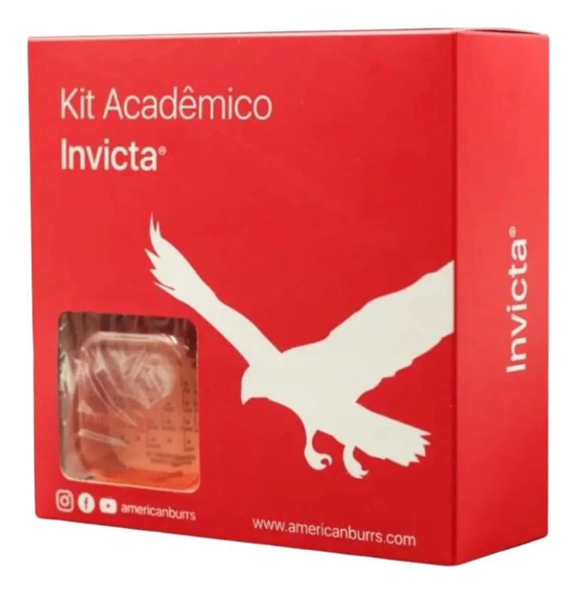Kit Acadêmico Invicta Prótese Dentaria CESUCA - American Burrs - Dentalshop